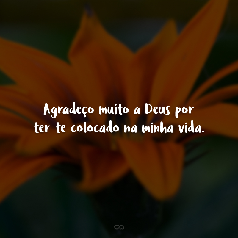 40 Frases De Agradecimento Para Namorado Repletas De Amor E Gratidão