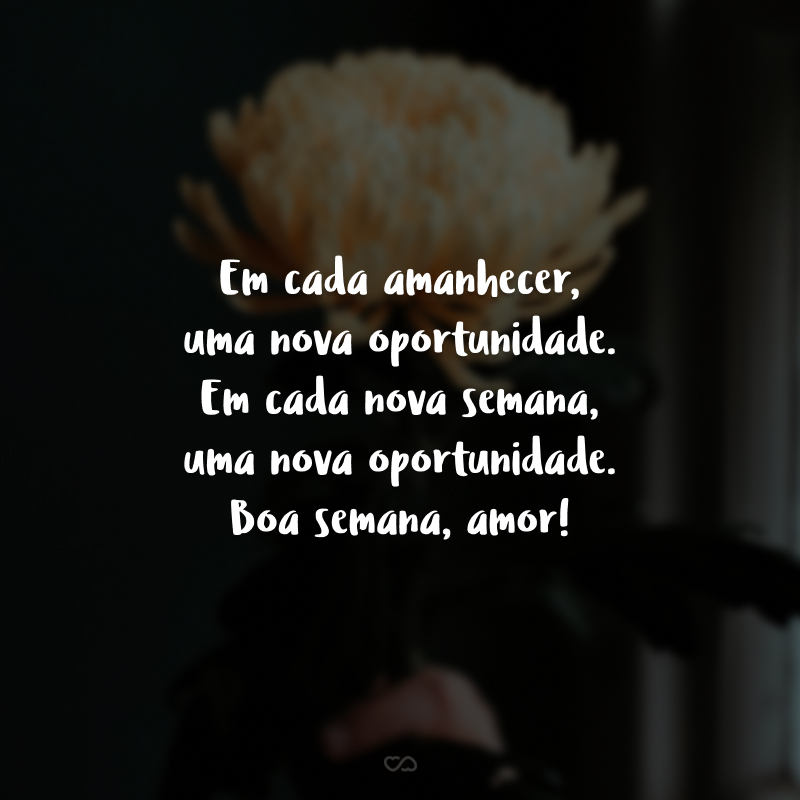 45 Frases De Boa Semana Amor Para Começar Bem A Segunda